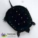 baby turtles for sale online | live baby turtle for sale near me | prices